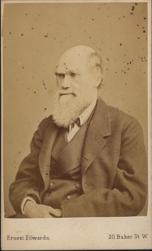 Charles Darwin - Biography, Age, Birthday, Chinese Zodiac & Facts