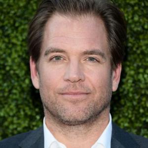 Michael Weatherly - Biography, Age, Birthday, Chinese Zodiac & Facts